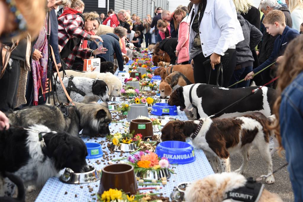 Dieren eten buikjes vol aan eigen buffet » Regiobode