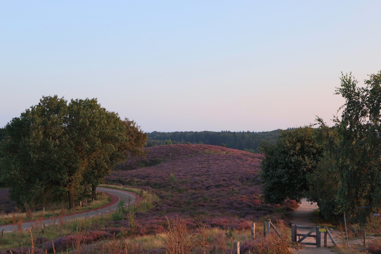 Rhedense raad besluit: Auto's blijven welkom op Posbank » Regiobode
