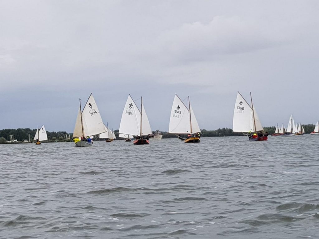 Scouting Dieren debuteert op NK Lelievlet zeilen » Regiobode