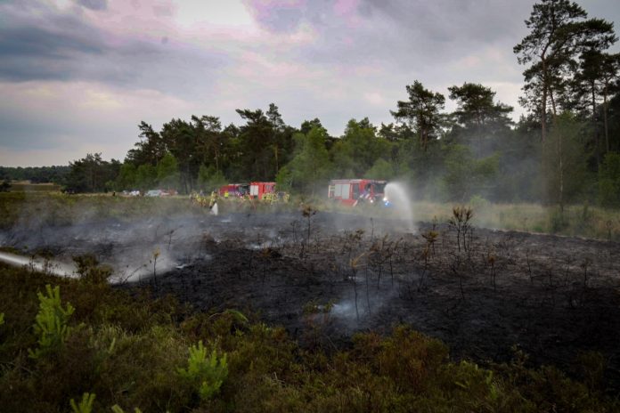 Twee brandhaarden op Rozendaalse Veld snel geblust » Regiobode