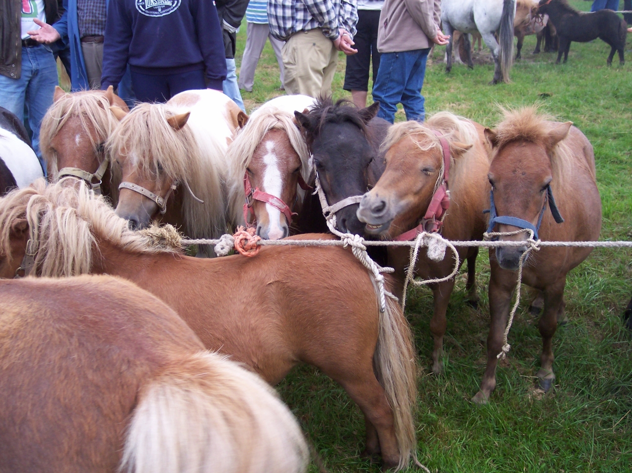 Loense Moandag in aantocht » Regiobode