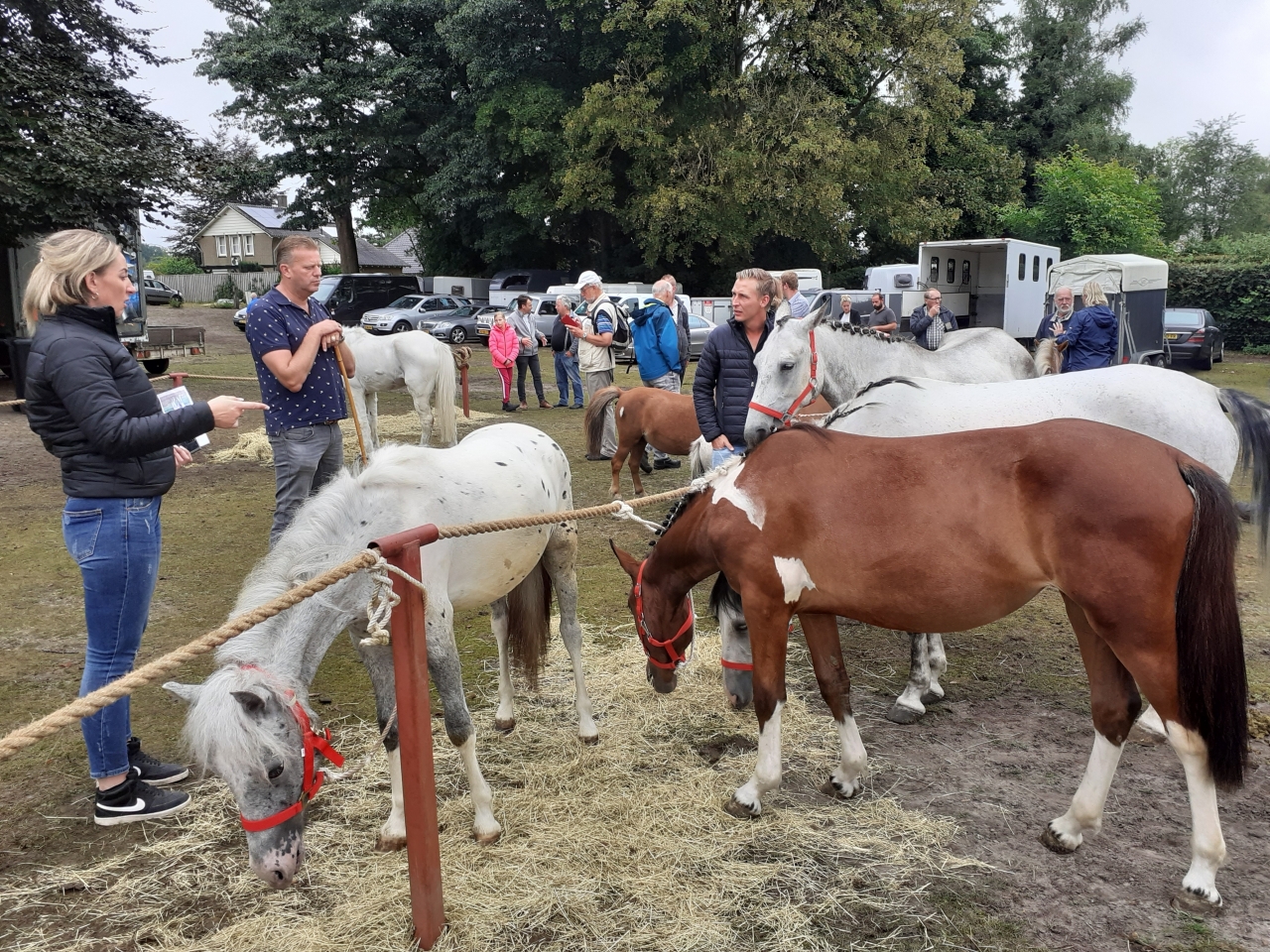 Pony’s, jaarmarkt en muziek op Loense Moandag » Regiobode
