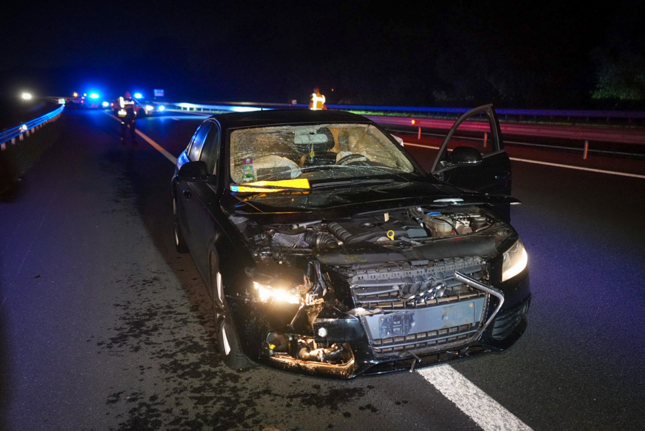 Hert geschept op snelweg » Regiobode