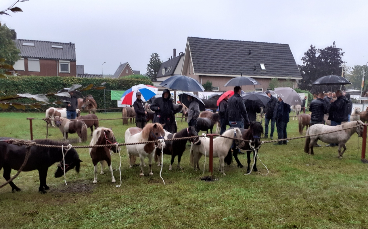 Nat begin voor Loense Moandag » Regiobode