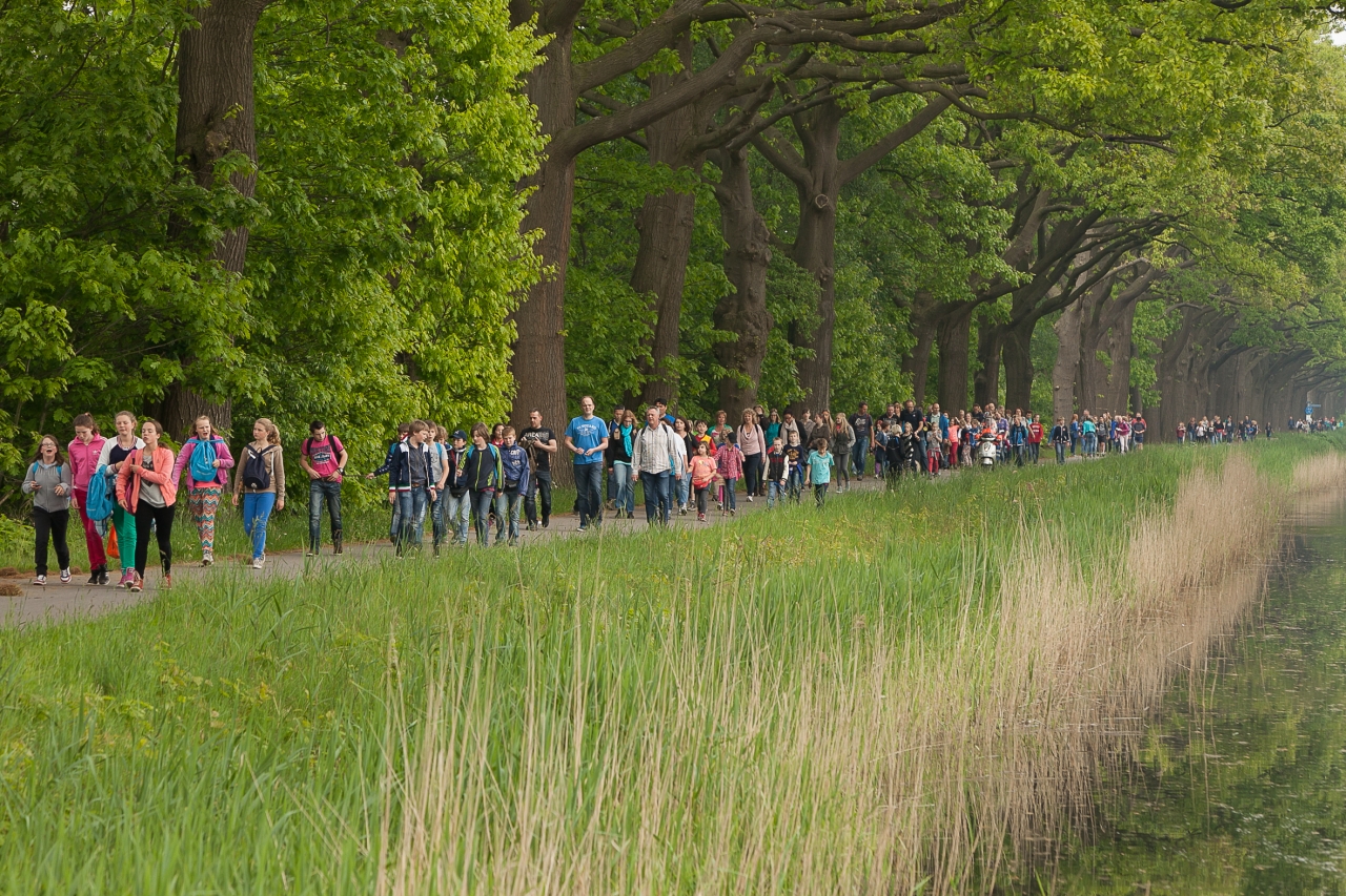 Inschrijvingen voor zestigste Wandel4daagse Eerbeek van start » Regiobode