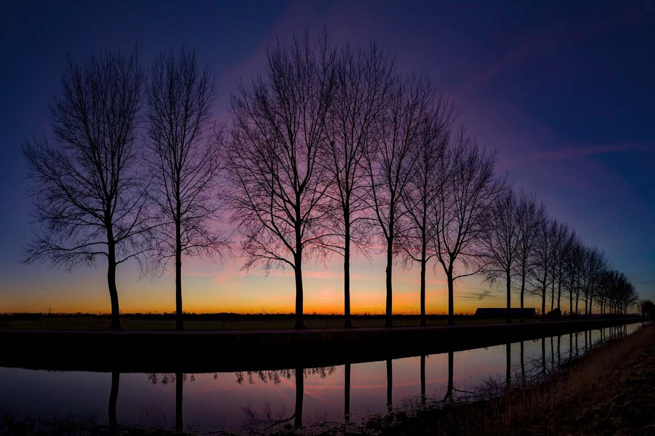 Foto-expositie in bibliotheek » Regiobode