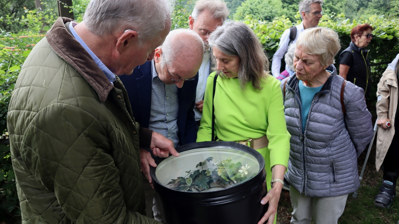 Gerestaureerde graftrommel terug op Jantjes graf » Regiobode