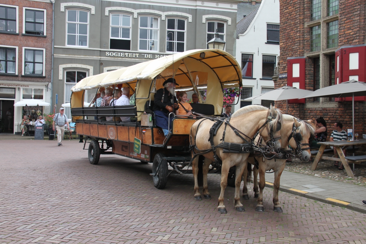 Met de paardentram door Doesburg » Regiobode