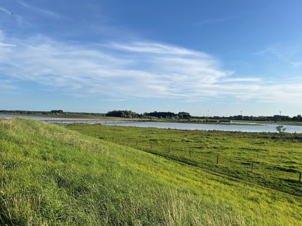 Onderhoud aan uiterwaarden langs de IJssel » Regiobode
