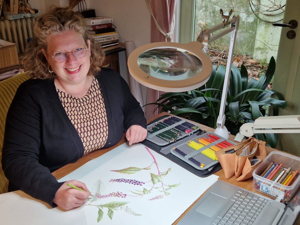 Botanische tekeningen te zien in de Zoomerij Velp » Regiobode