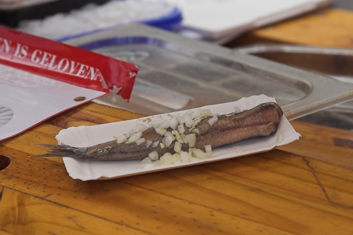 recordpoging haringhappen op maatjesdag » Salland Centraal