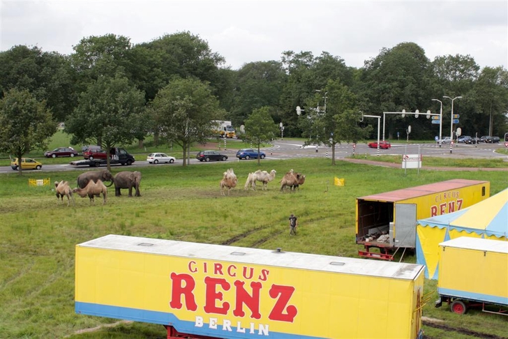 circus franz renz international naar raalte » Salland Centraal