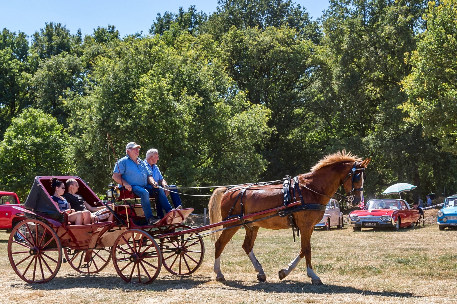 fotos historisch festival in luttenberg » Salland Centraal