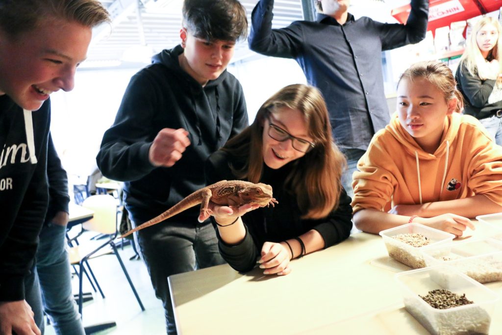 Vmbo-leerlingen proeven mbo-sfeer tijdens ‘Beleef Landstede Salland’ » Salland Centraal