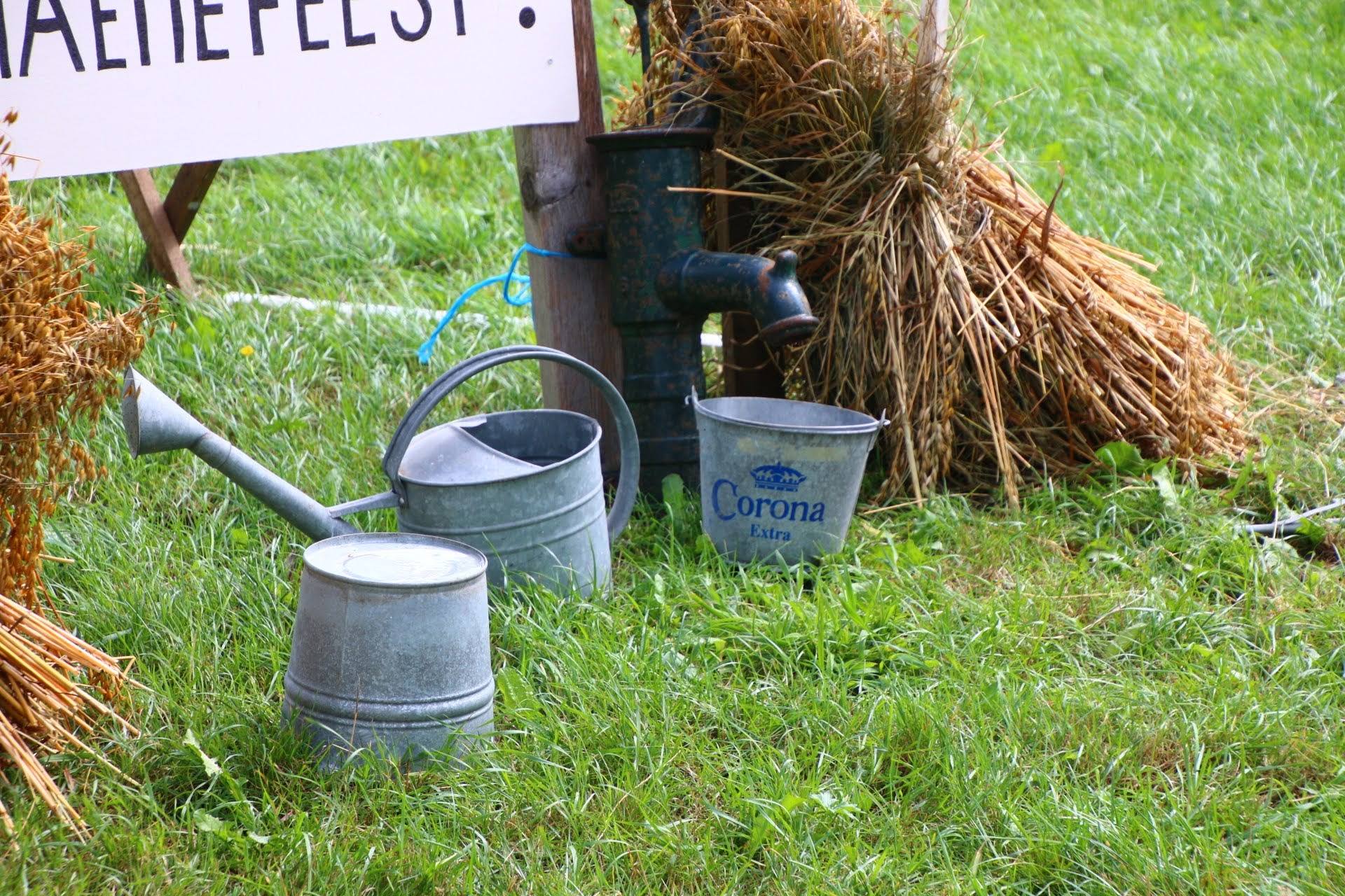 FOTO'S | Stöppelhaene in de Roarhoek » Salland Centraal