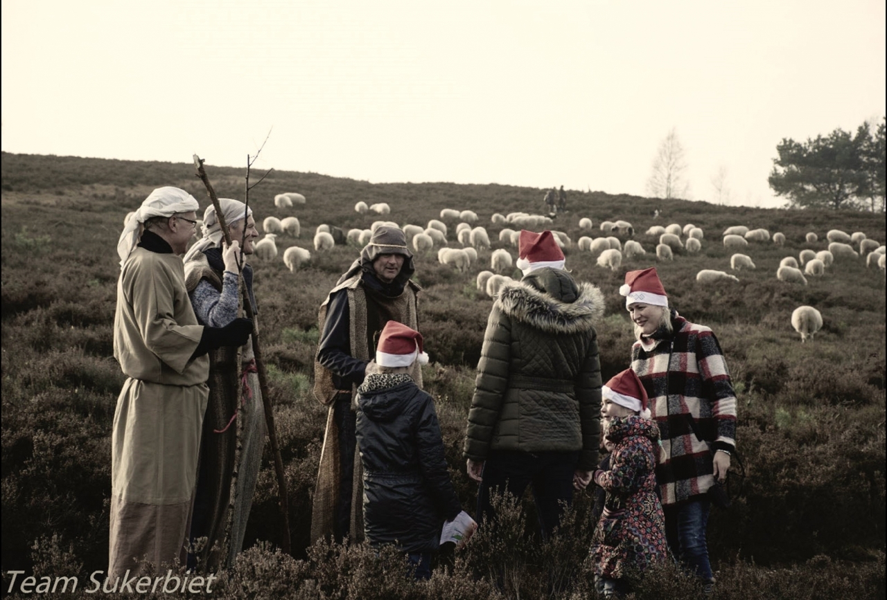 Kerstwandeling van Team Sukerbiet op de Lemelerberg » Salland Centraal