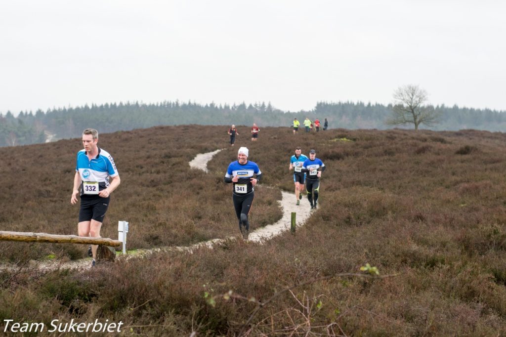 Trailrun van Team Sukerbiet op de Lemelerberg » Salland Centraal