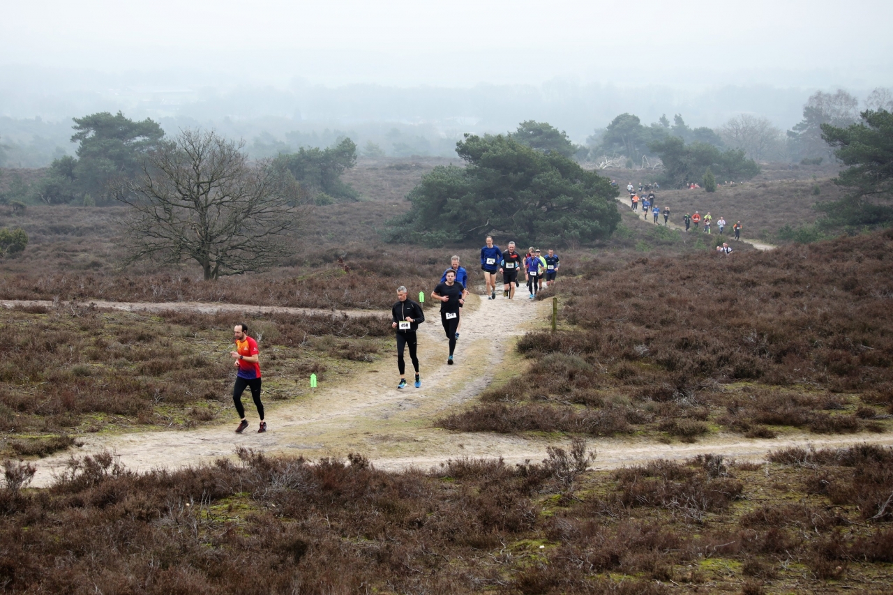 Nieuwe editie van Sukerbiet Trailrun » Salland Centraal