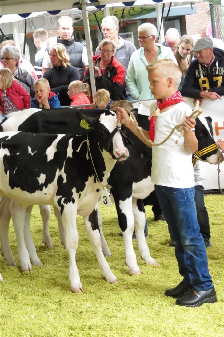 in beeld boerendag ommer bissingh » Vechtdal Centraal