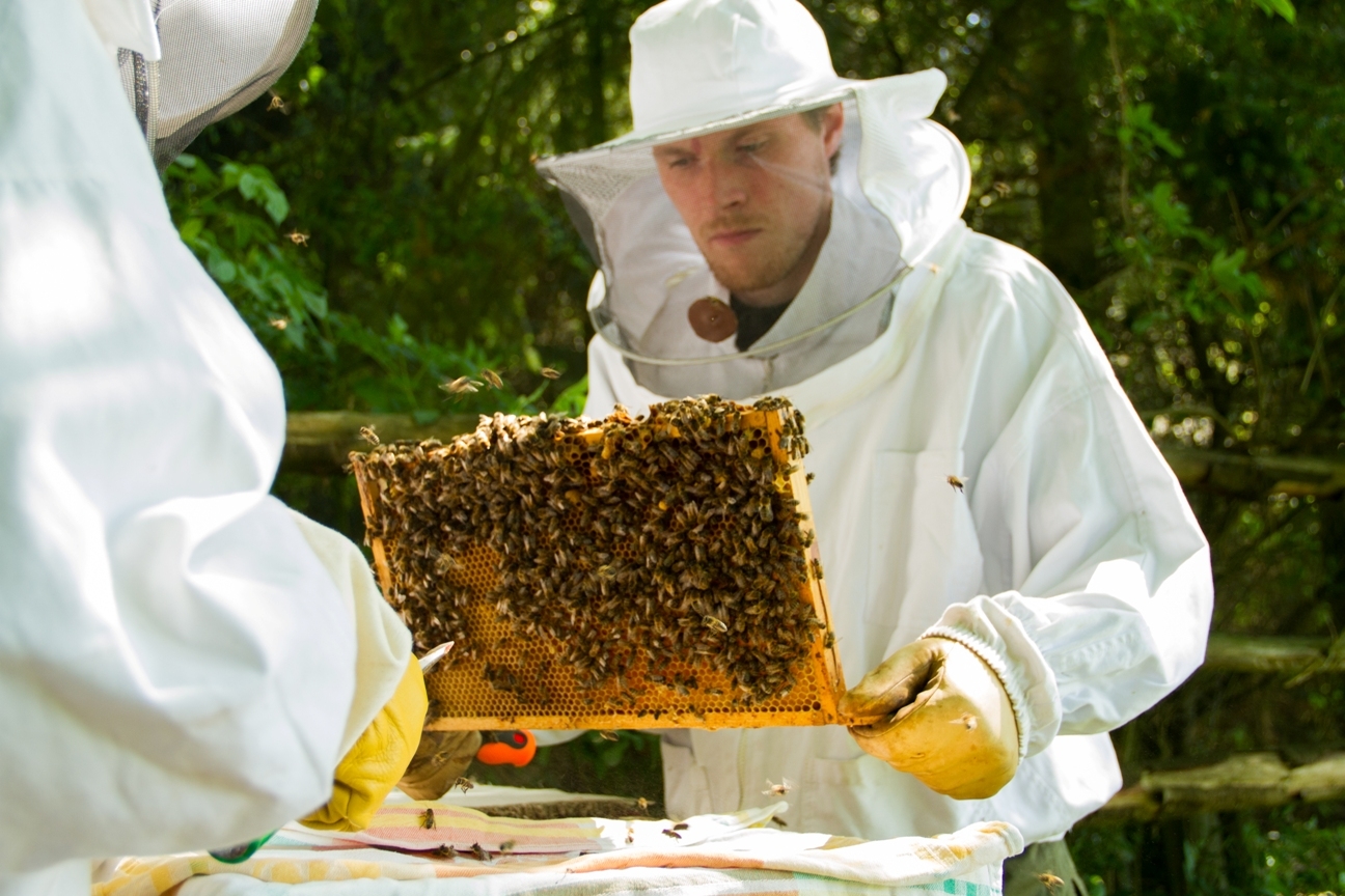 op bezoek bij de imker tijdens de landelijke open imkerijdag » Vechtdal ...