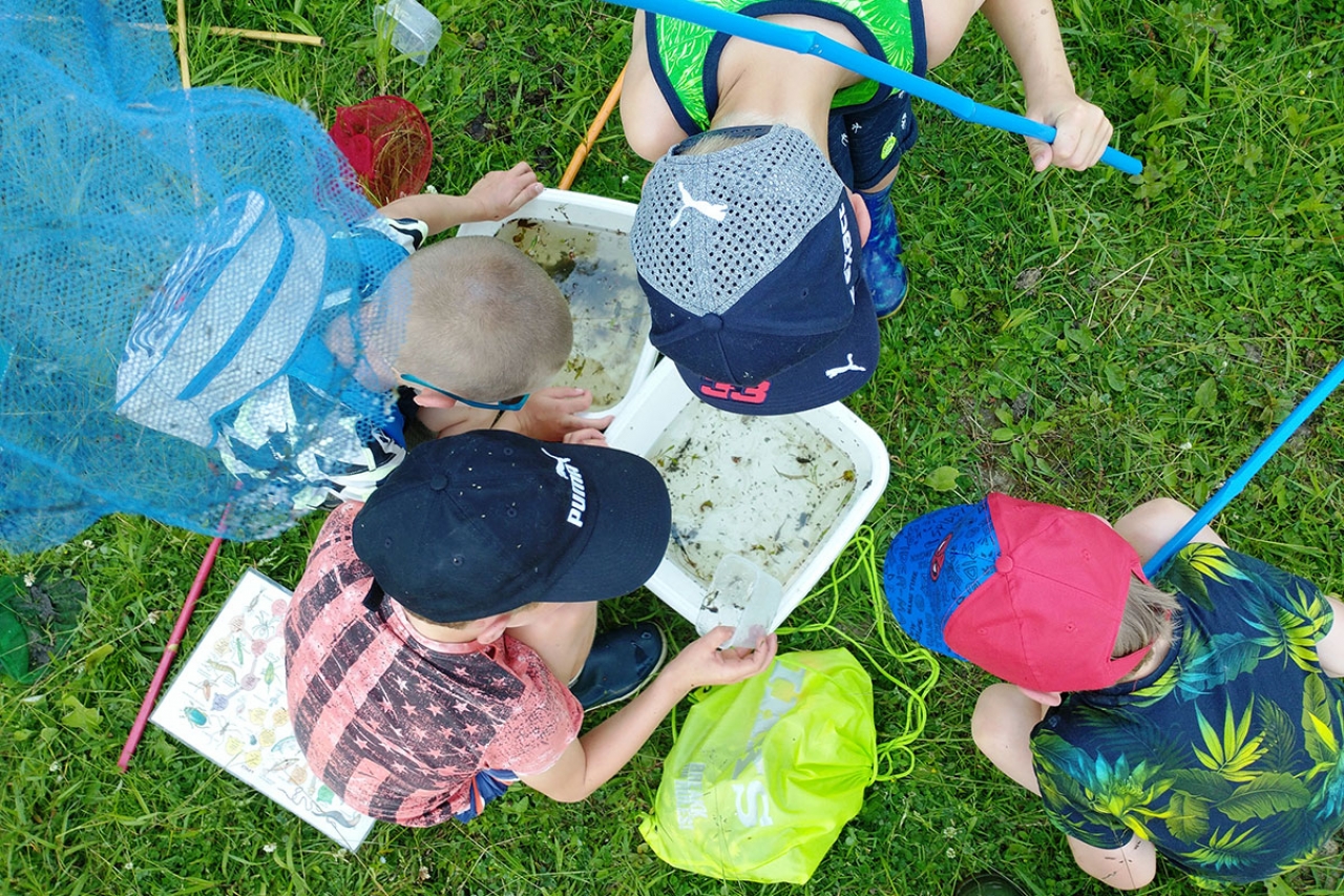Waterbeestjes zoeken: een avontuurlijk uitje voor kinderen » Vechtdal ...